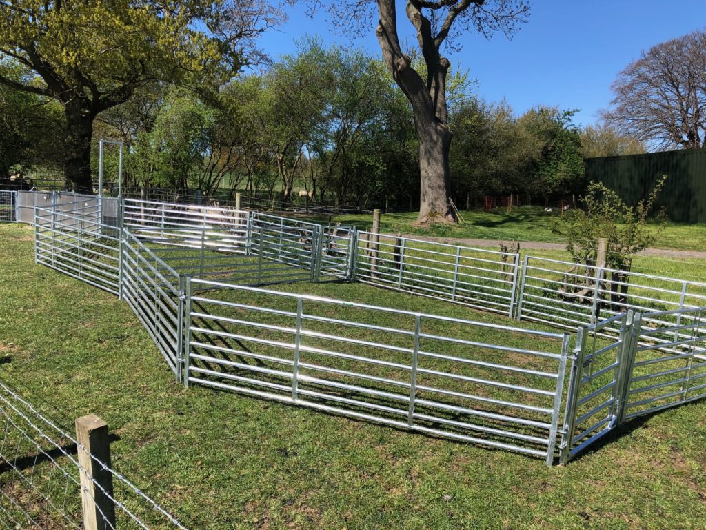 (NEW!) Mobile Sheep Handling System